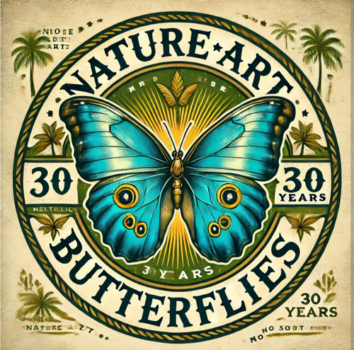 Nature Art Butterflies - Real framed butterflies – nature art butterflies
