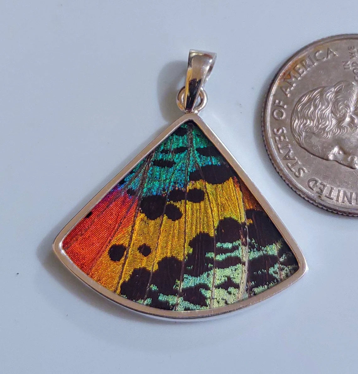 Butterfly wing jewelry, real butterfly, butterfly wing pendant, butter ...