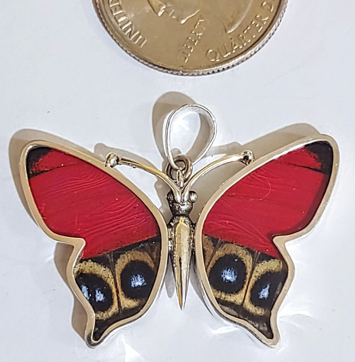 Butterfly wing jewelry, real butterfly, butterfly wing pendant, butter ...