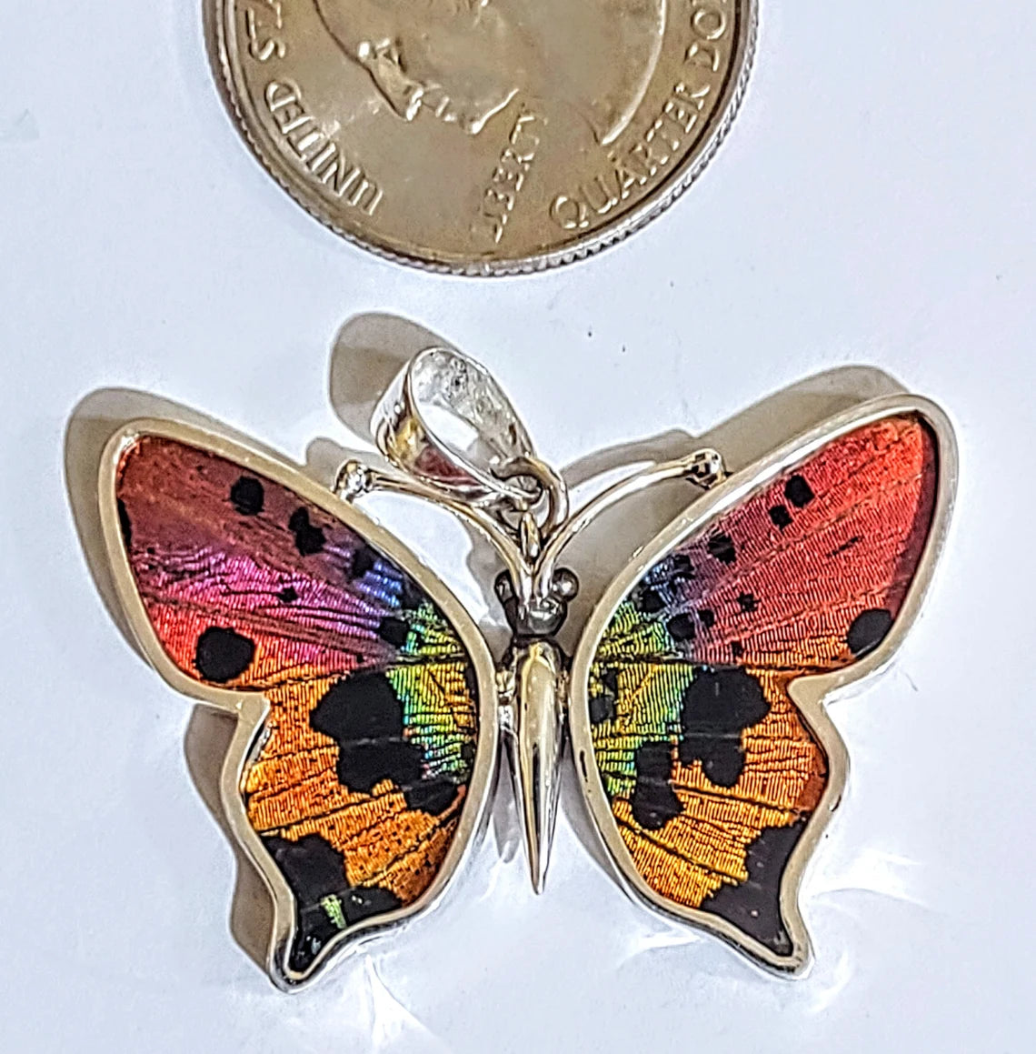 Butterfly wing jewelry, real butterfly, butterfly wing pendant, butter ...